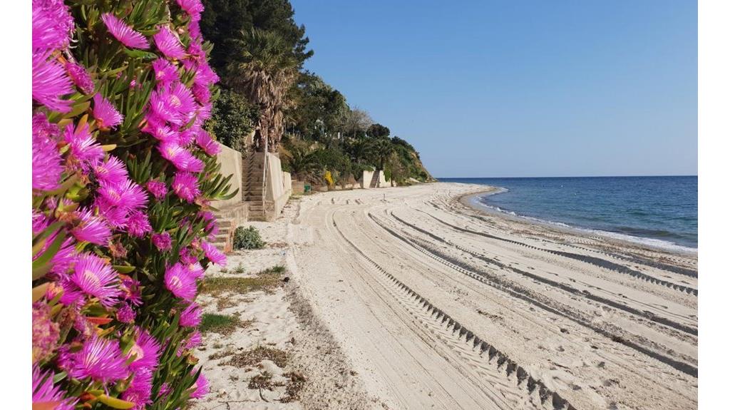 🏖️ Arogi Fanari, Aroyí, Greece - Tips By Locals